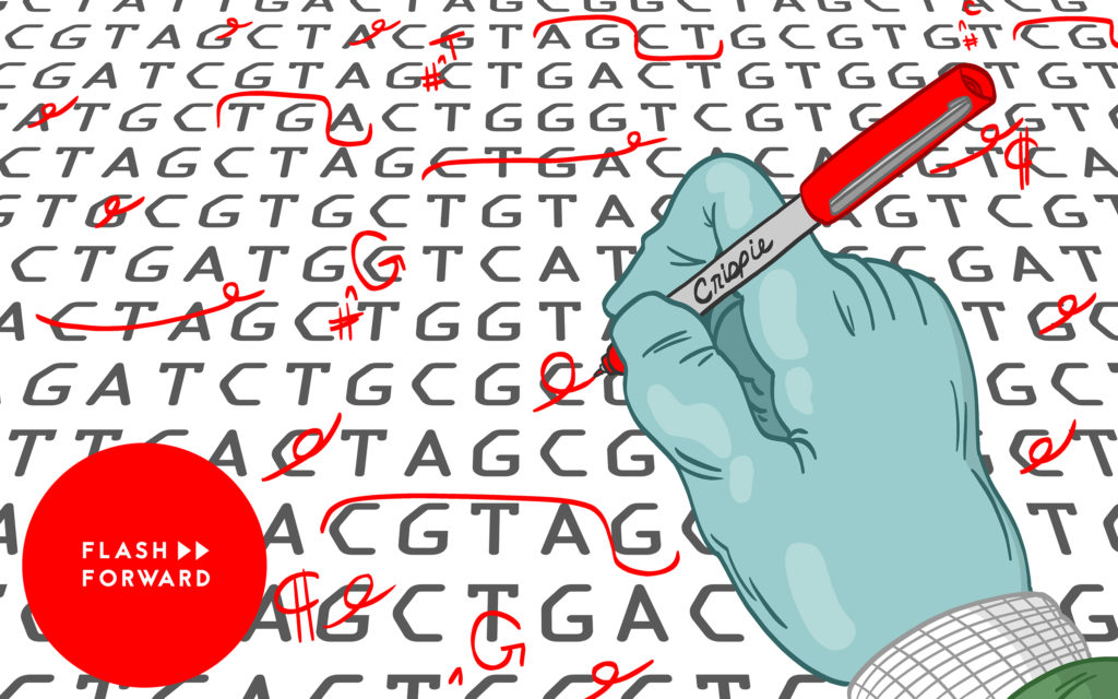 Snip Snip Snip | Flash Forward